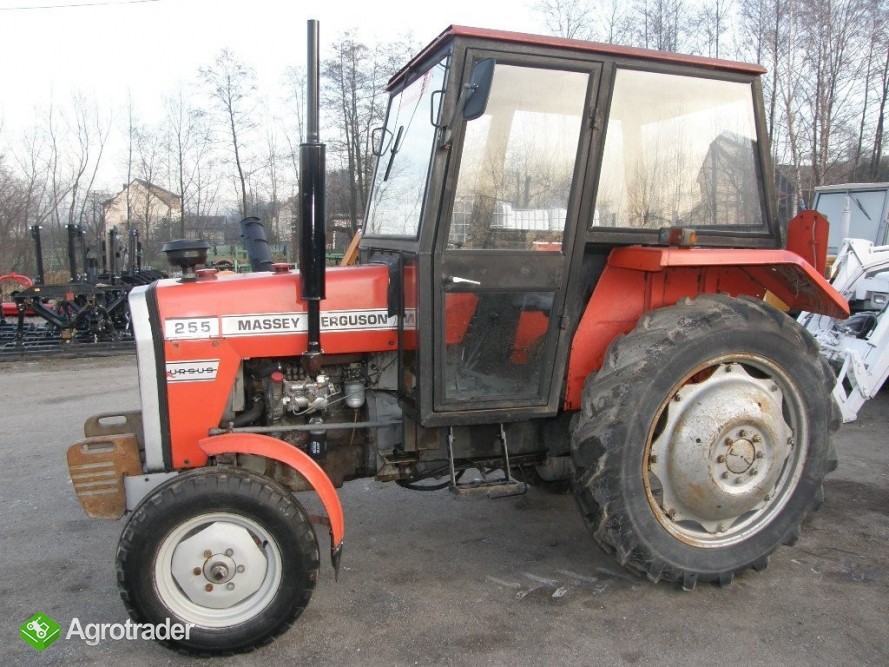 Massey Ferguson 255 - 1989 Łapczyca • Agrotrader.pl
